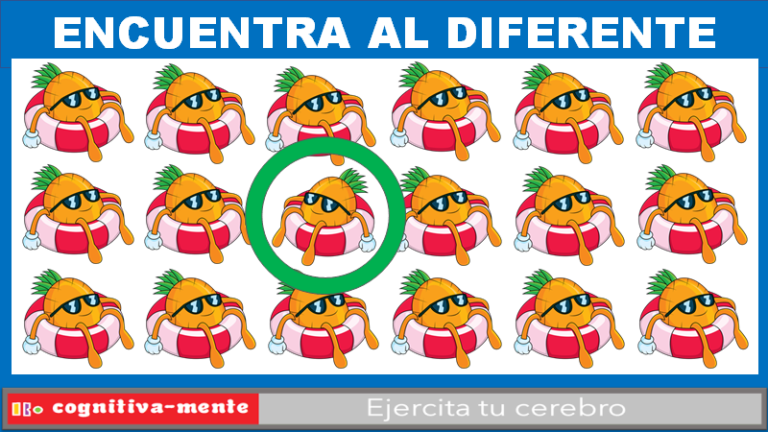 Videos de Estimulación Cognitiva Gratuitos – cognitiva-mente.online